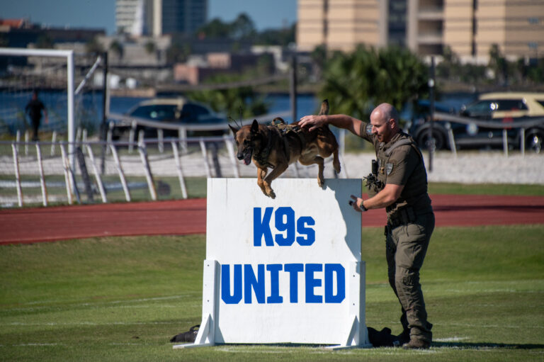 2025 K9 Competition - K9s United